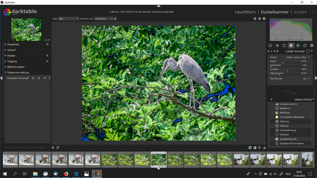 blue blotches when switching on color zones - darktable - discuss.pixls.us