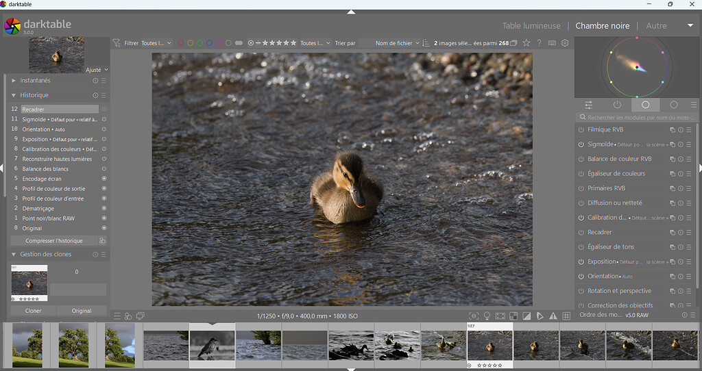 Film strip behaving strangely - darktable - discuss.pixls.us