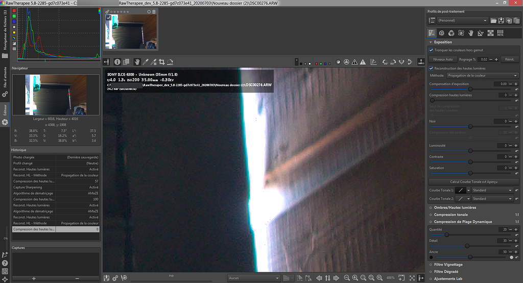 Pink dots in blown highlights - RawTherapee - discuss.pixls.us