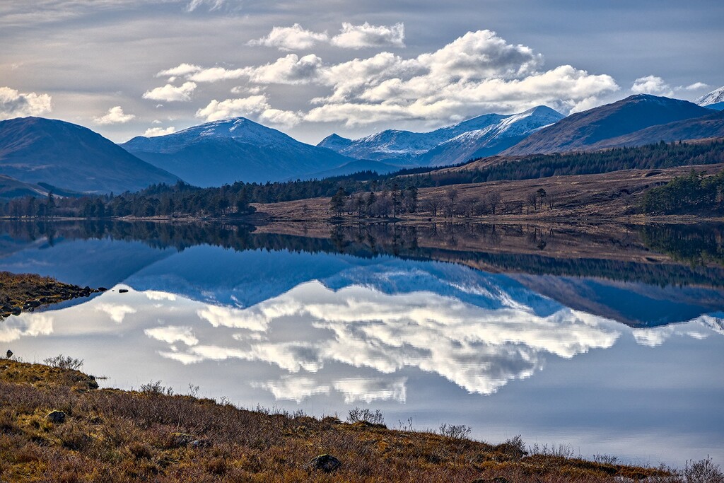 Difficult hazy light - Play Raw - discuss.pixls.us