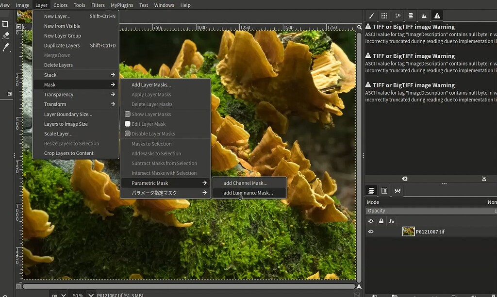 Python plug-in for GIMP3: Parametric Luminance Mask - GIMP - discuss.pixls.us
