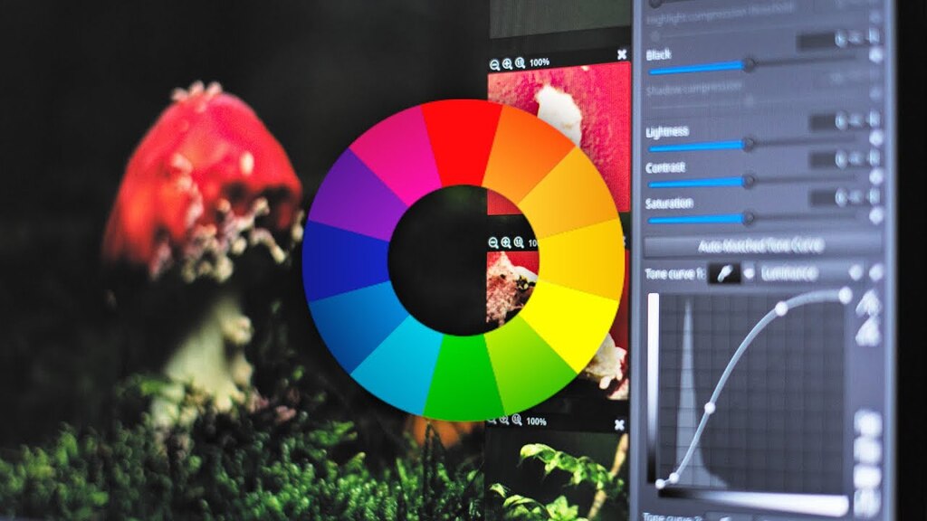 An Absolute Beginners' Guide to RawTherapee - RawTherapee - discuss ...