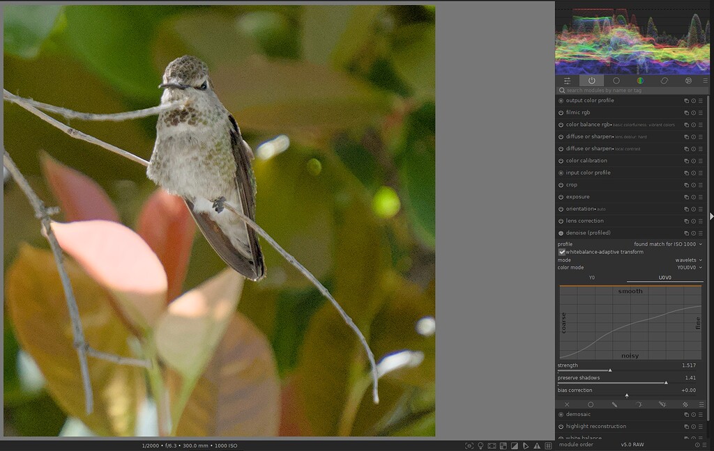 wavelet denoise - luma vs. chroma & coarse vs. fine - Processing - discuss.pixls.us