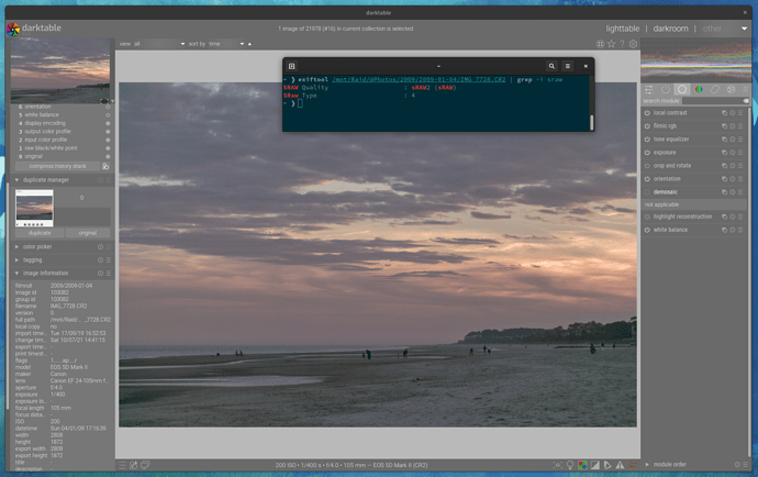 Demosaicing disabled as not appropriate - darktable - discuss.pixls.us