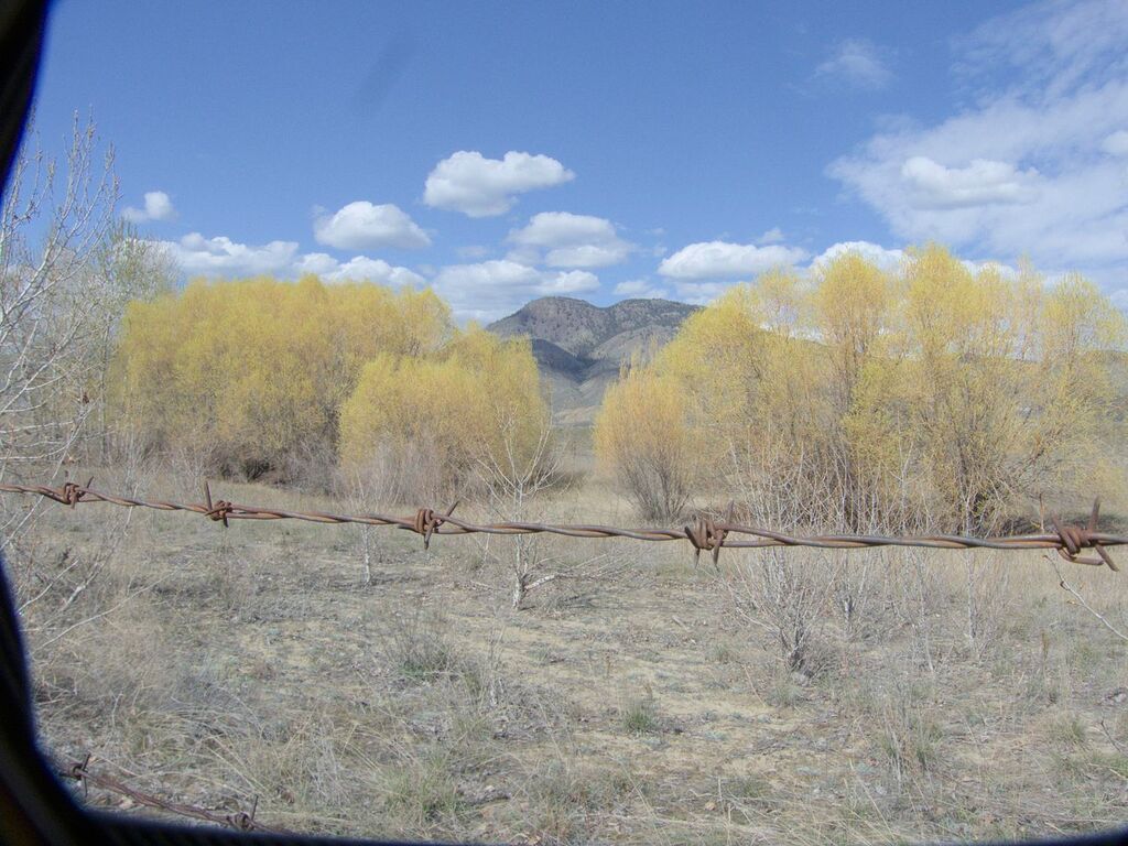 First RAW submission, have some fun with it. - Play Raw - discuss.pixls.us