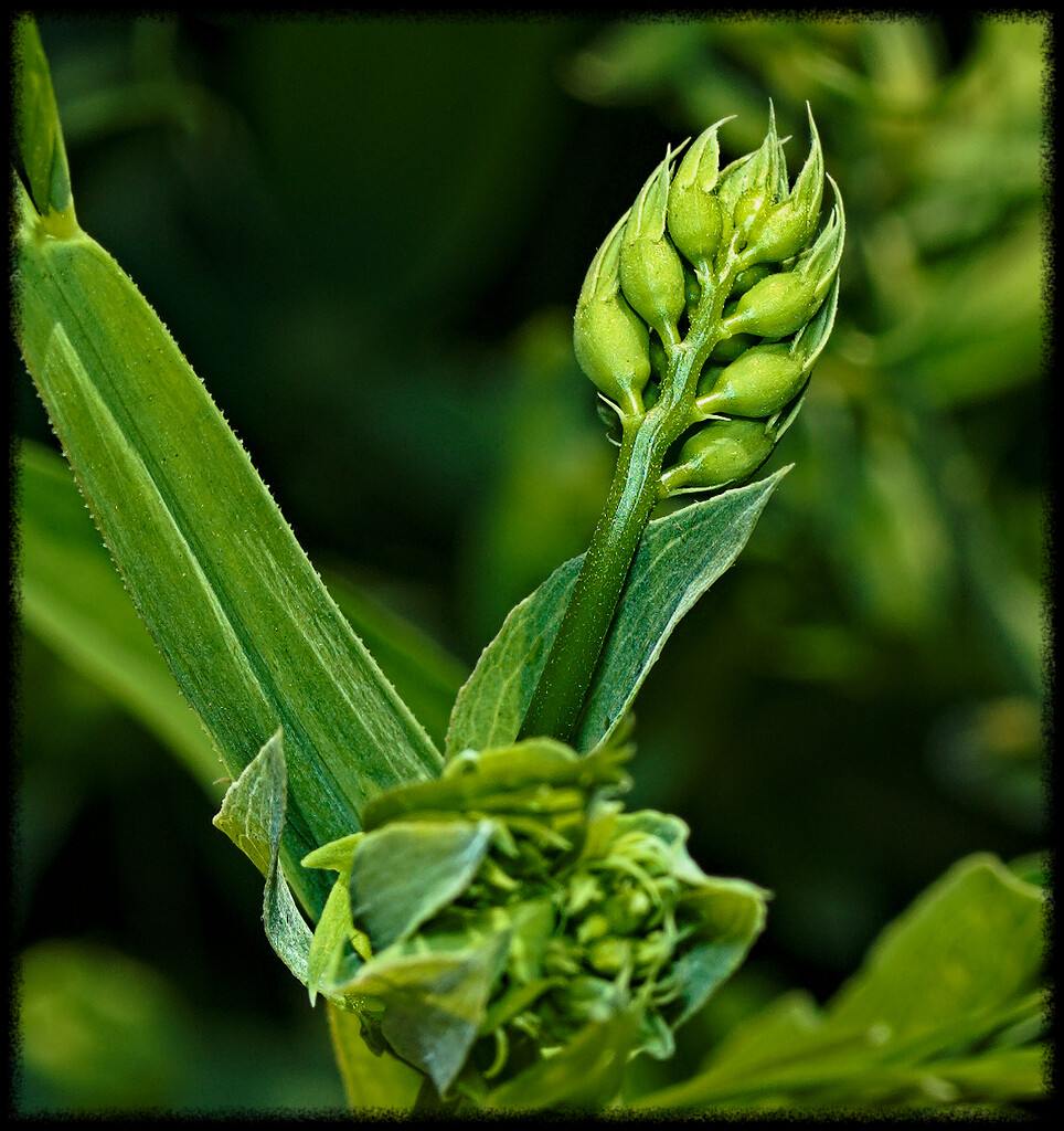 How to avoid reflections? - Capturing - discuss.pixls.us