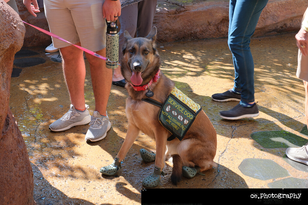 OpenCL oddness on Framework Laptop (AMD) - darktable - discuss.pixls.us