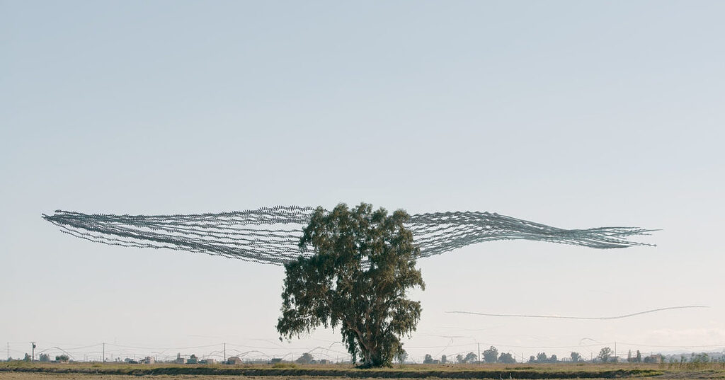 Striking Composite Photos of Birds in Flight - Lounge - discuss.pixls.us