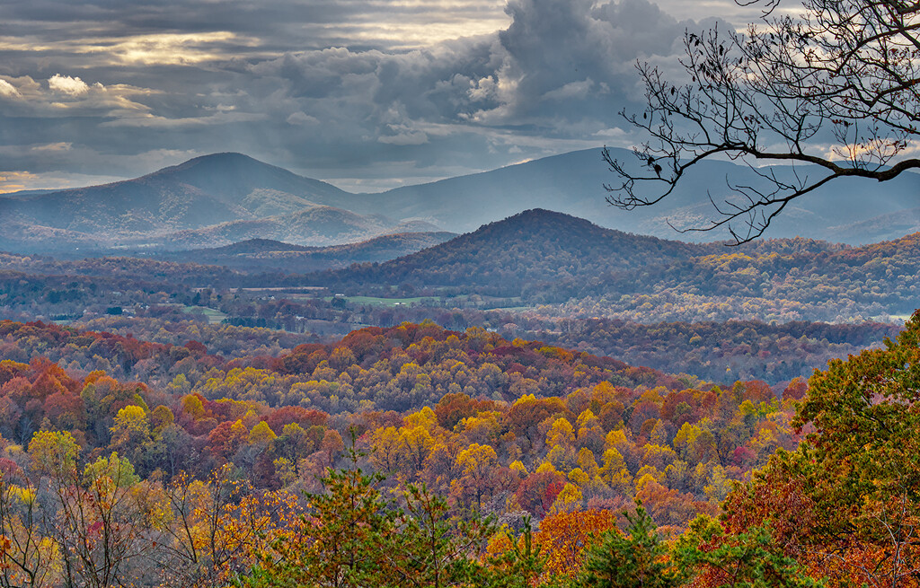 Dark foreground with Fall colors - Play Raw - discuss.pixls.us