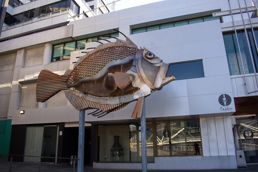 Grouper eating a window - Play Raw - discuss.pixls.us