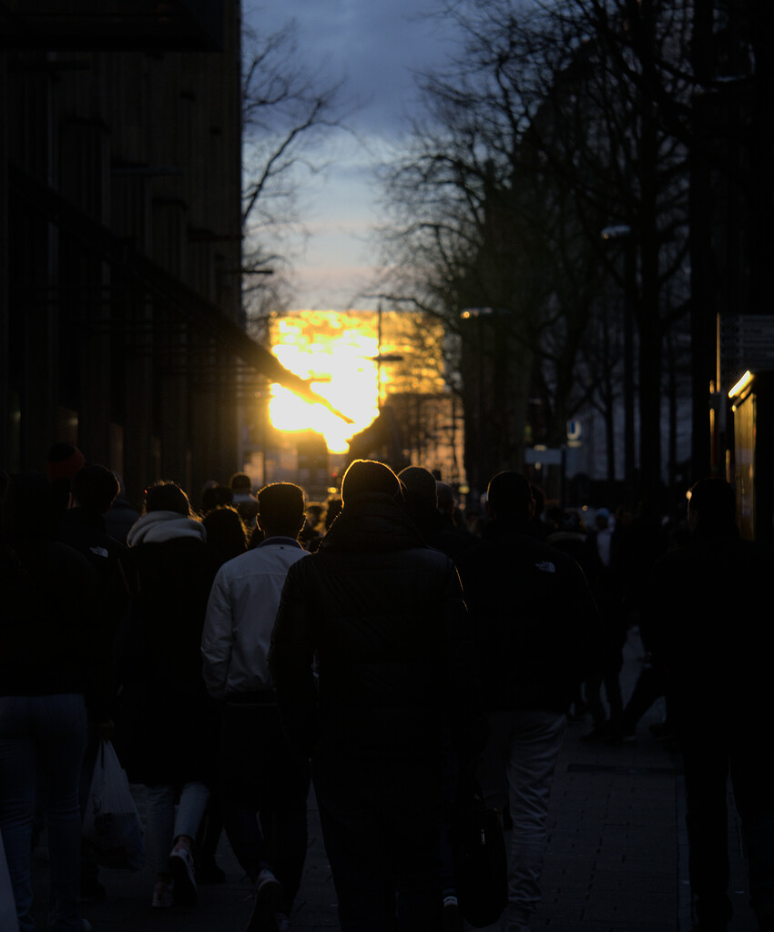 Heading to the sun - Play Raw - discuss.pixls.us