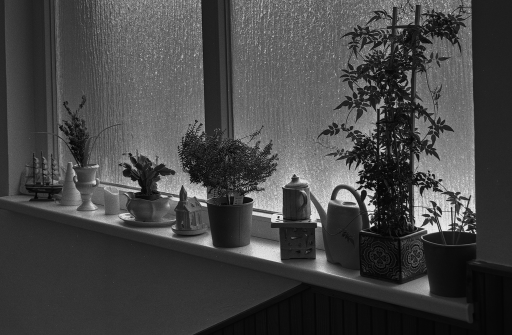 BW negative displays "sandy" highlights after basic conversion ...