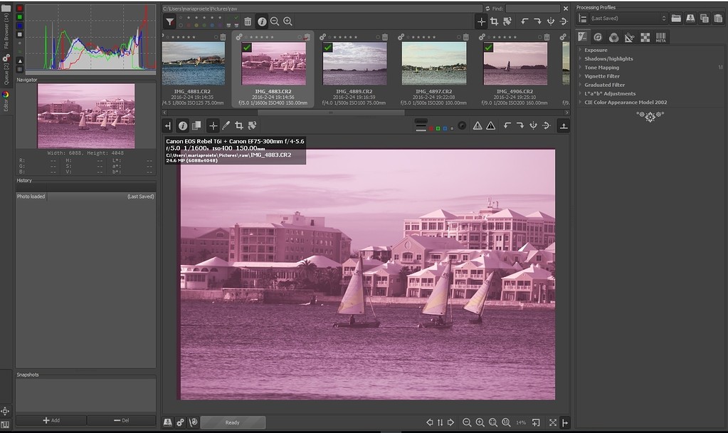 [Solved] Beginner basic question: Why my raw photos turn pink when I ...