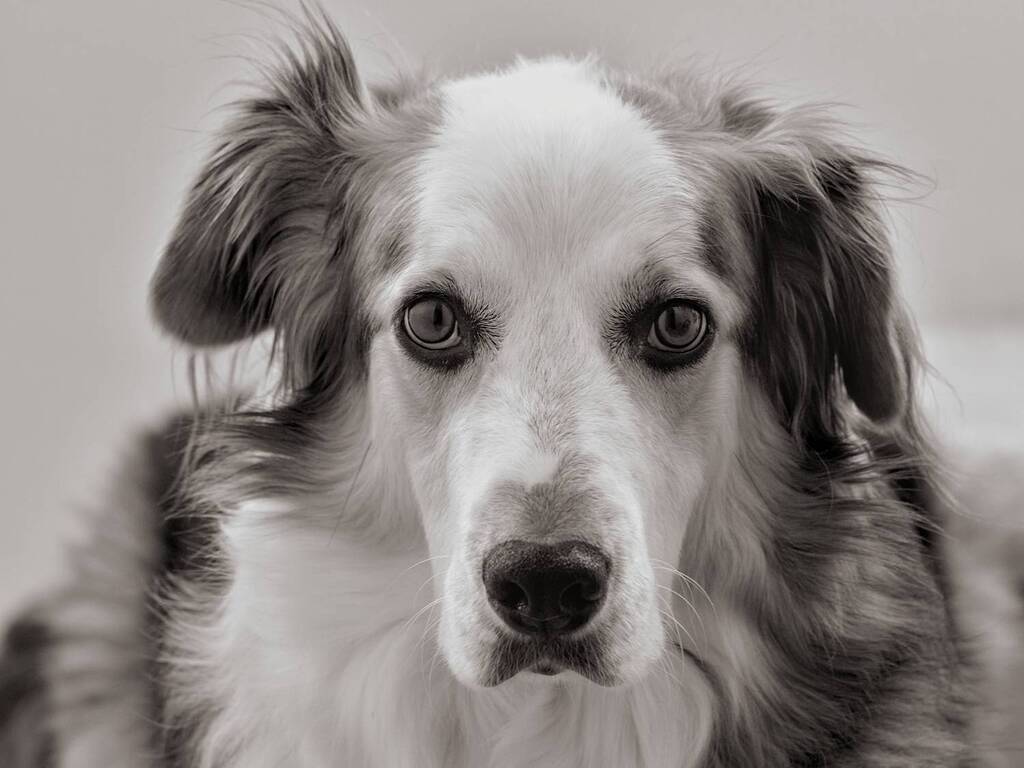 Clipped highlights and almost black & white - darktable - discuss.pixls.us