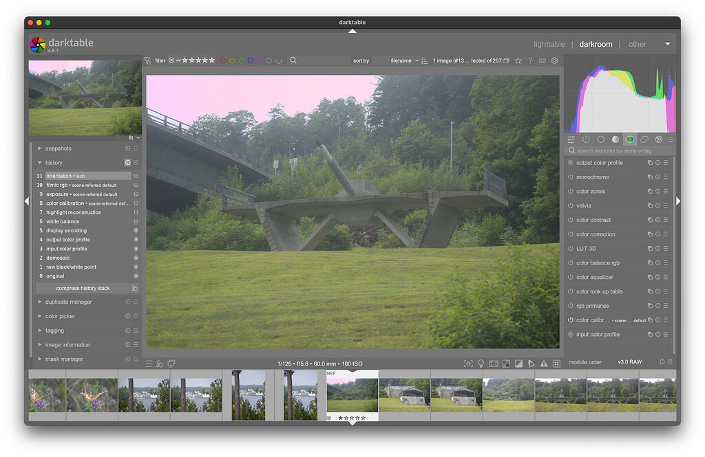 Bright lights in Nikon raw image appear magenta in darktable - darktable - discuss.pixls.us