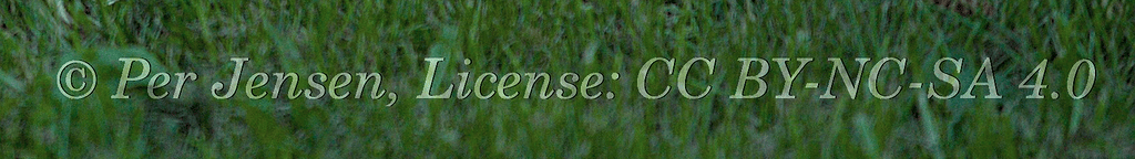 Watermark script for Gnome File Manager - Processing - discuss.pixls.us