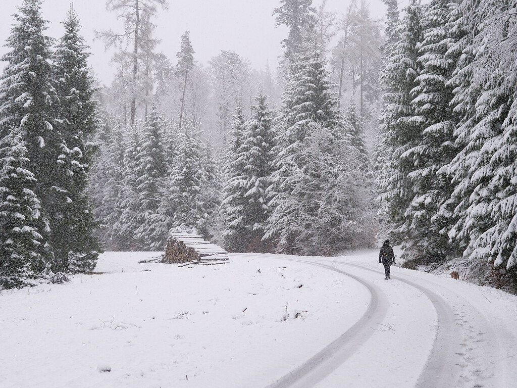 White (dis)balance and Darktable - Page 2 - darktable - discuss.pixls.us