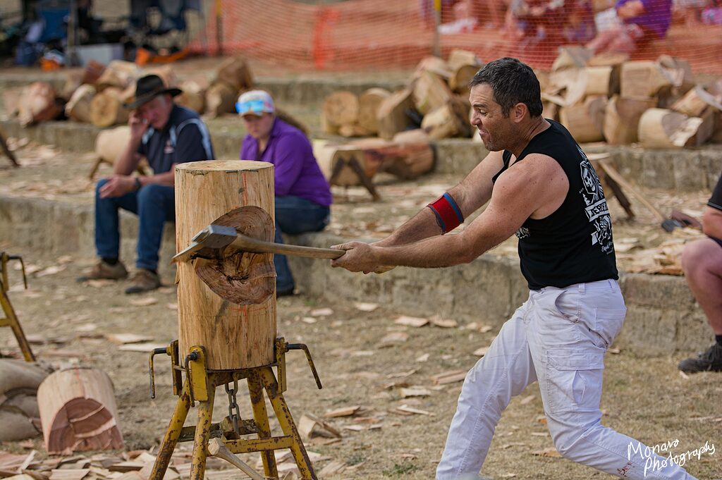 Woodchopping contest - how to process? - Play Raw - discuss.pixls.us