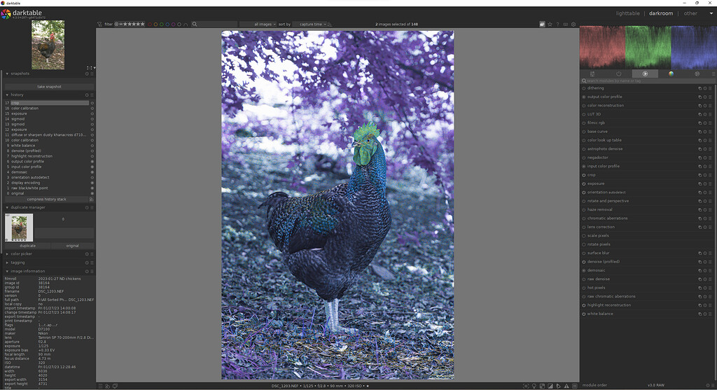 A bug?? involving crop in dt 4.3+287 [solved or at least not ...