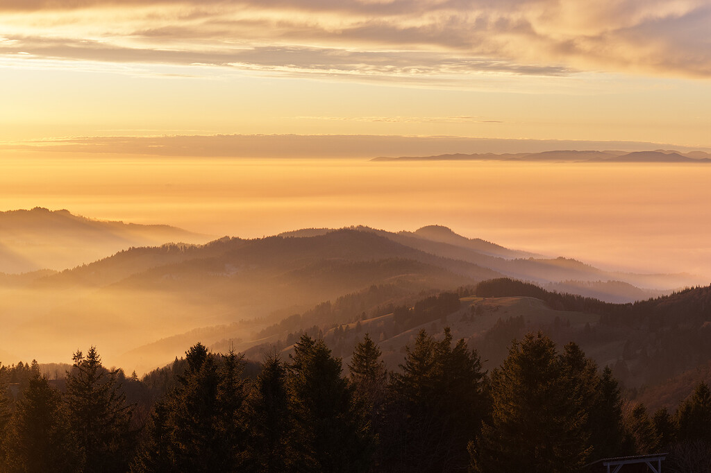 Black Forest Sunset - Play Raw - discuss.pixls.us
