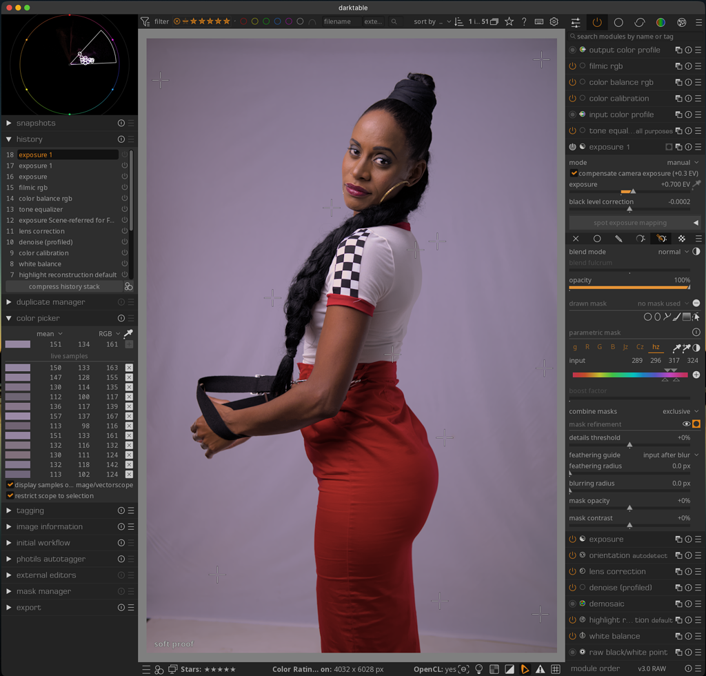 Mask the model to change the background color - darktable - discuss ...