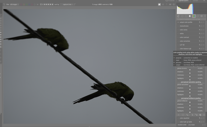 Big Difference Between Sony and Darktable Exposure for A7 iv ...