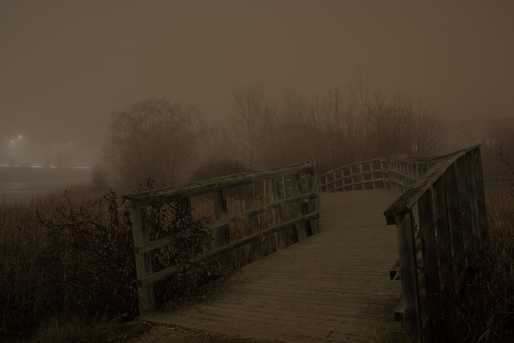 An Eerie Fog Rolled In... - Play Raw - discuss.pixls.us