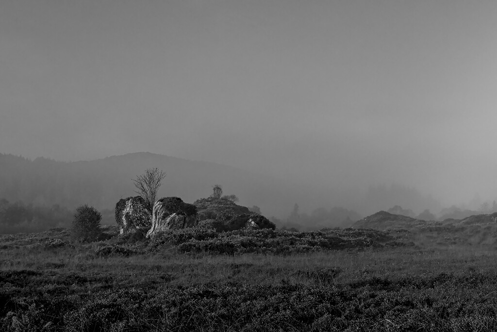 Have another go... - Play Raw - discuss.pixls.us