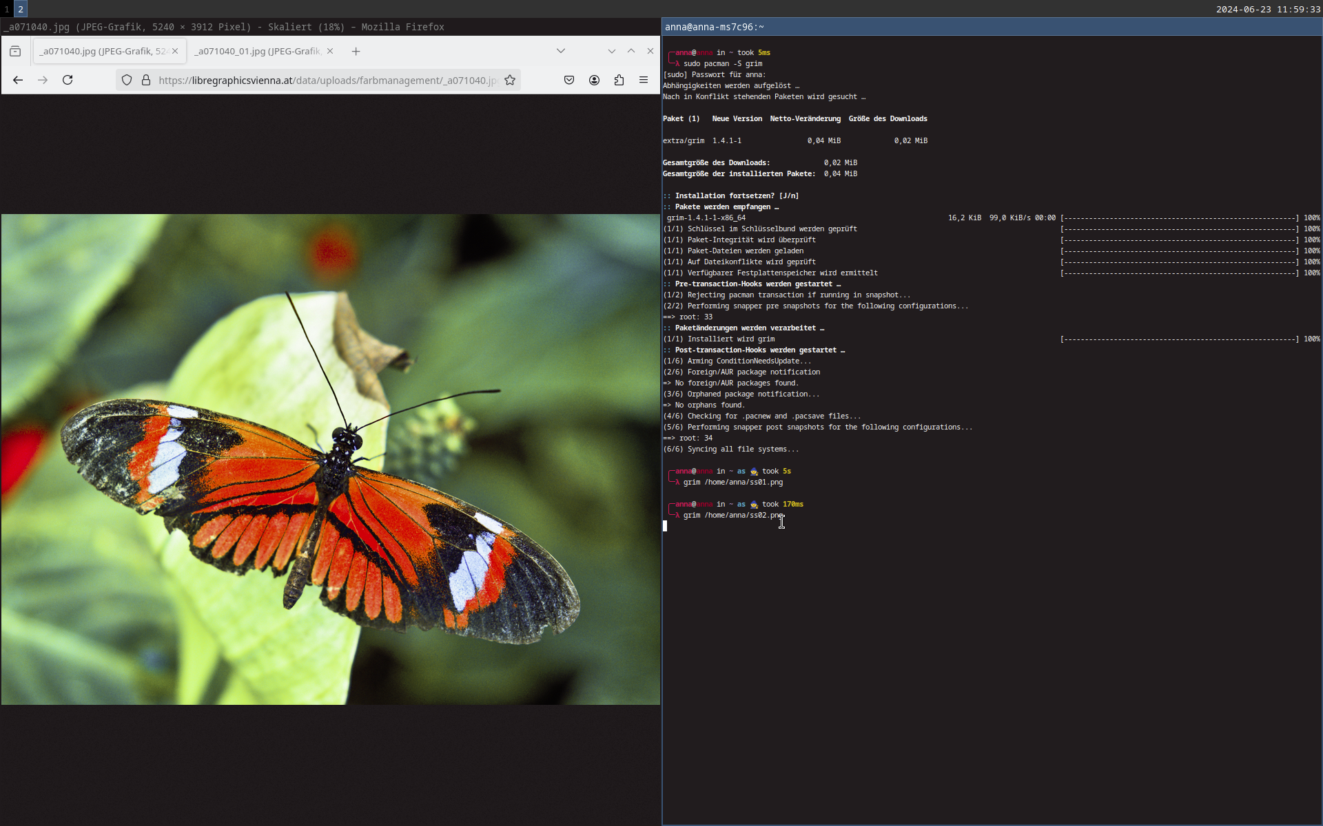 Wayland color management - Page 38 - Software - discuss.pixls.us
