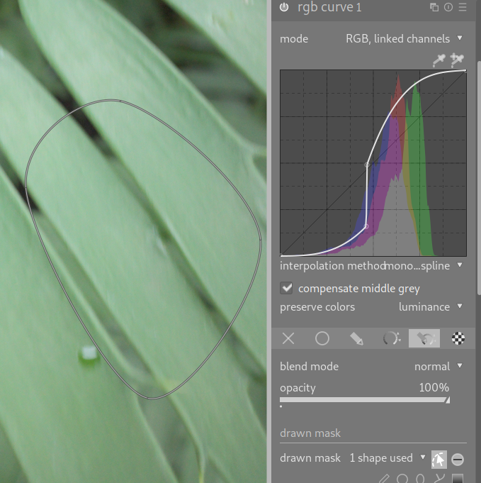 Strange behavior of drawn mask - darktable - discuss.pixls.us