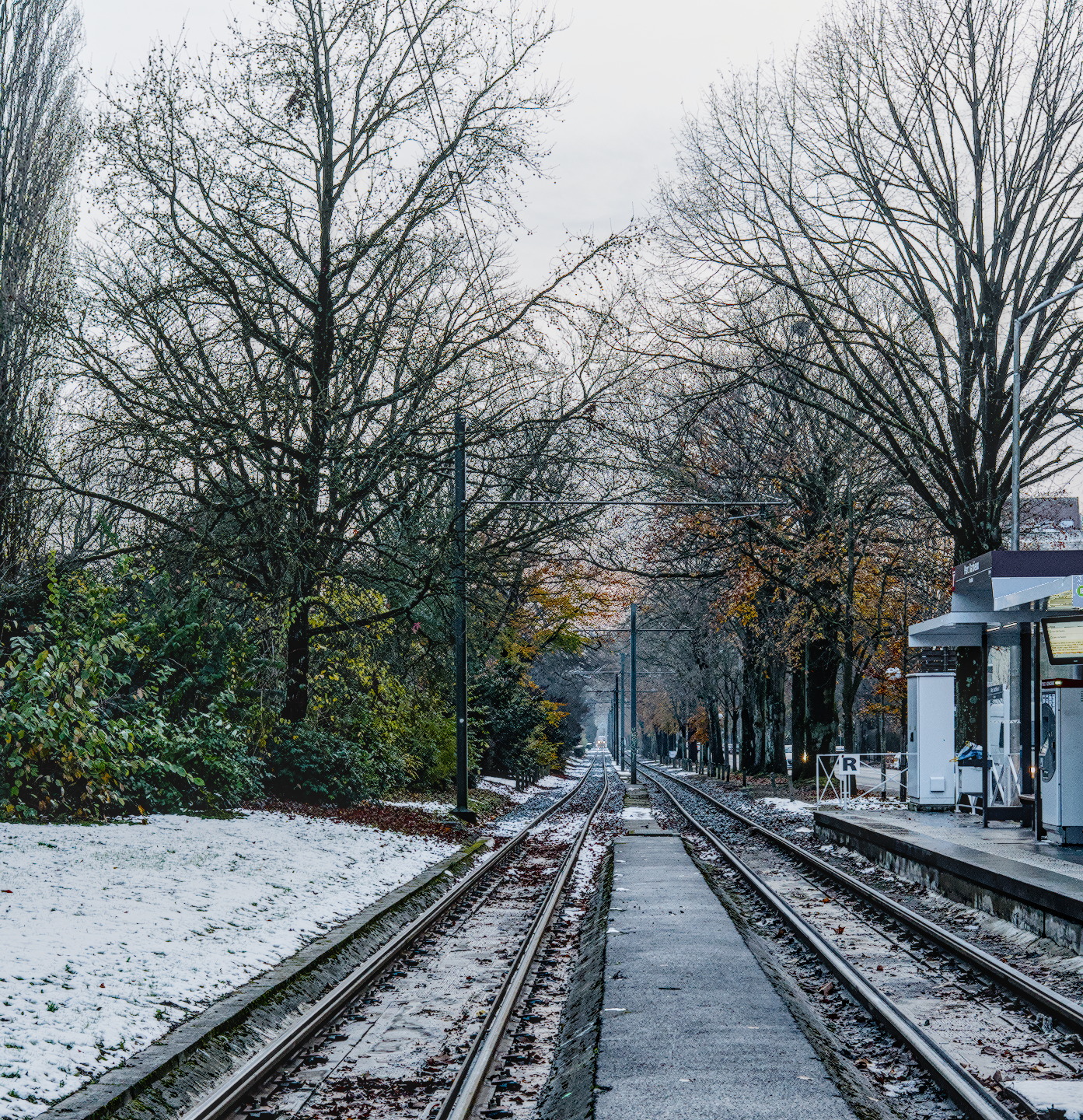 First post - First edits shared, feedback appreciated - Play Raw - discuss.pixls.us