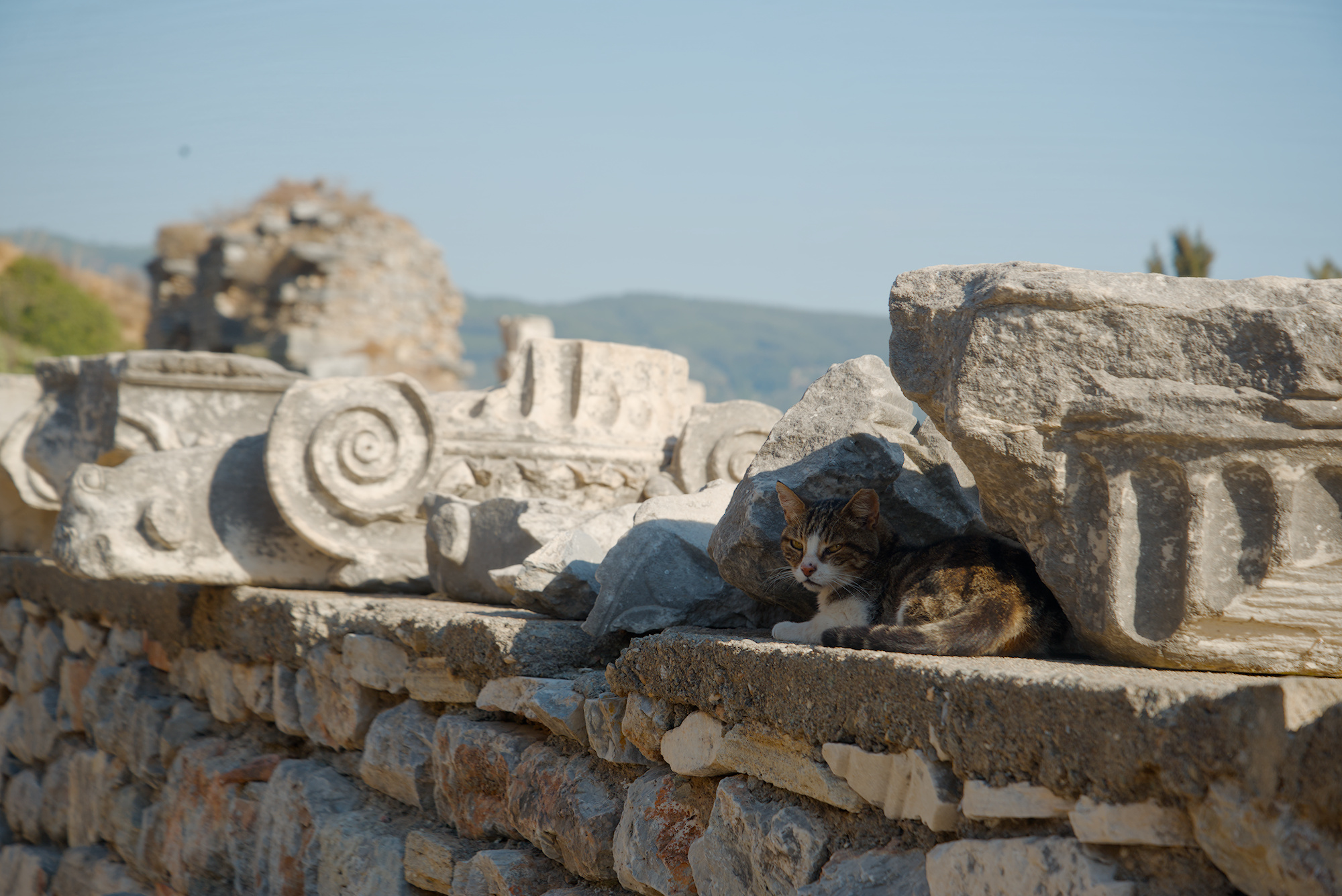 Ephesus - Türkiye - Play Raw - discuss.pixls.us