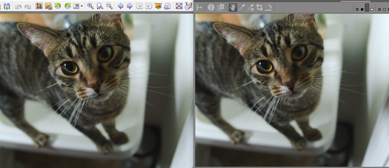 Output Jpeg darker than in-app preview - RawTherapee - discuss.pixls.us