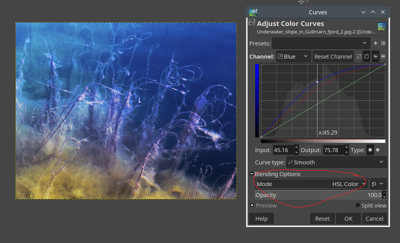 Gimp's auto input levels causes horrible vignetting - Processing - discuss.pixls.us