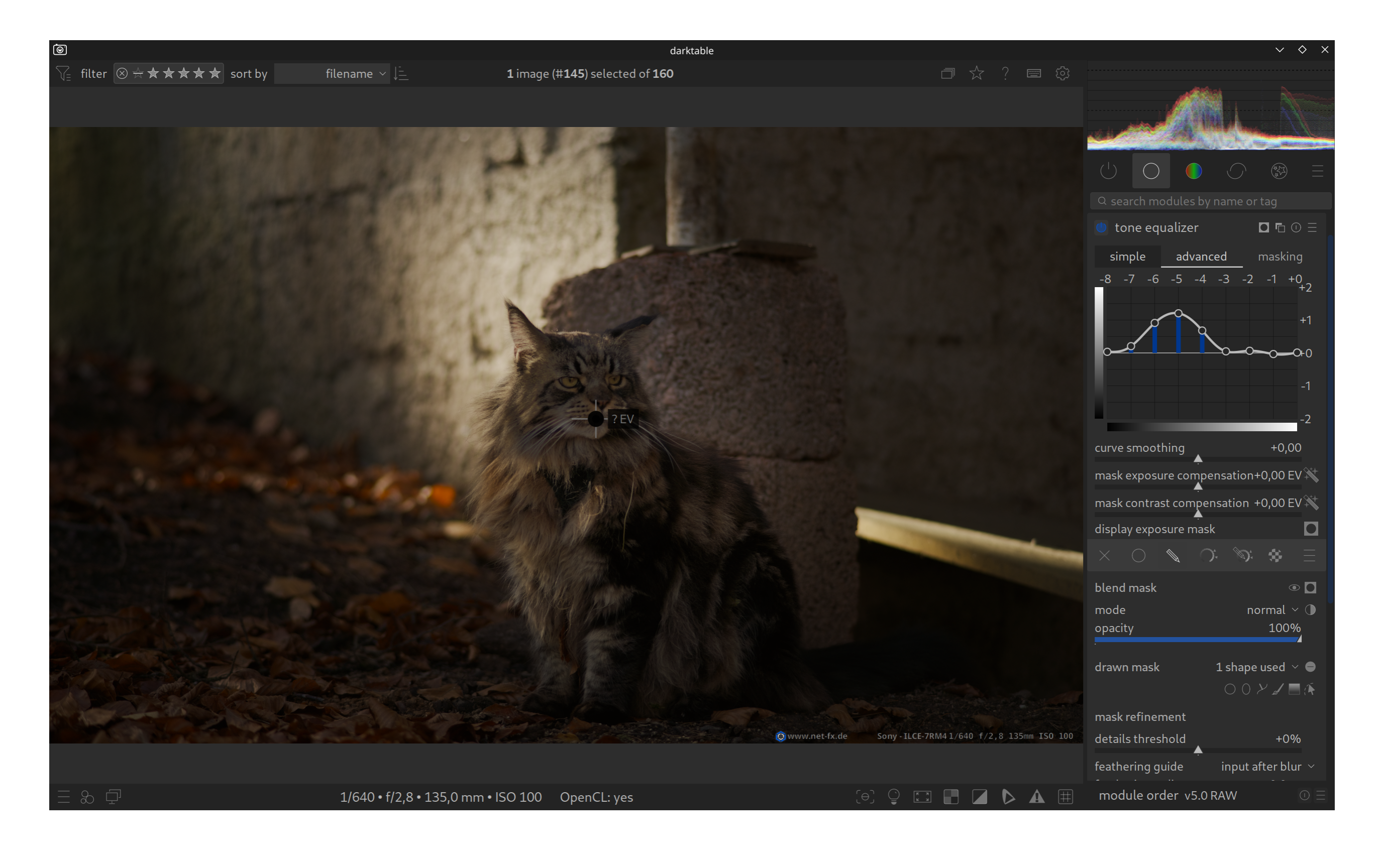 tone equilizer drawn mask - bug? - darktable - discuss.pixls.us