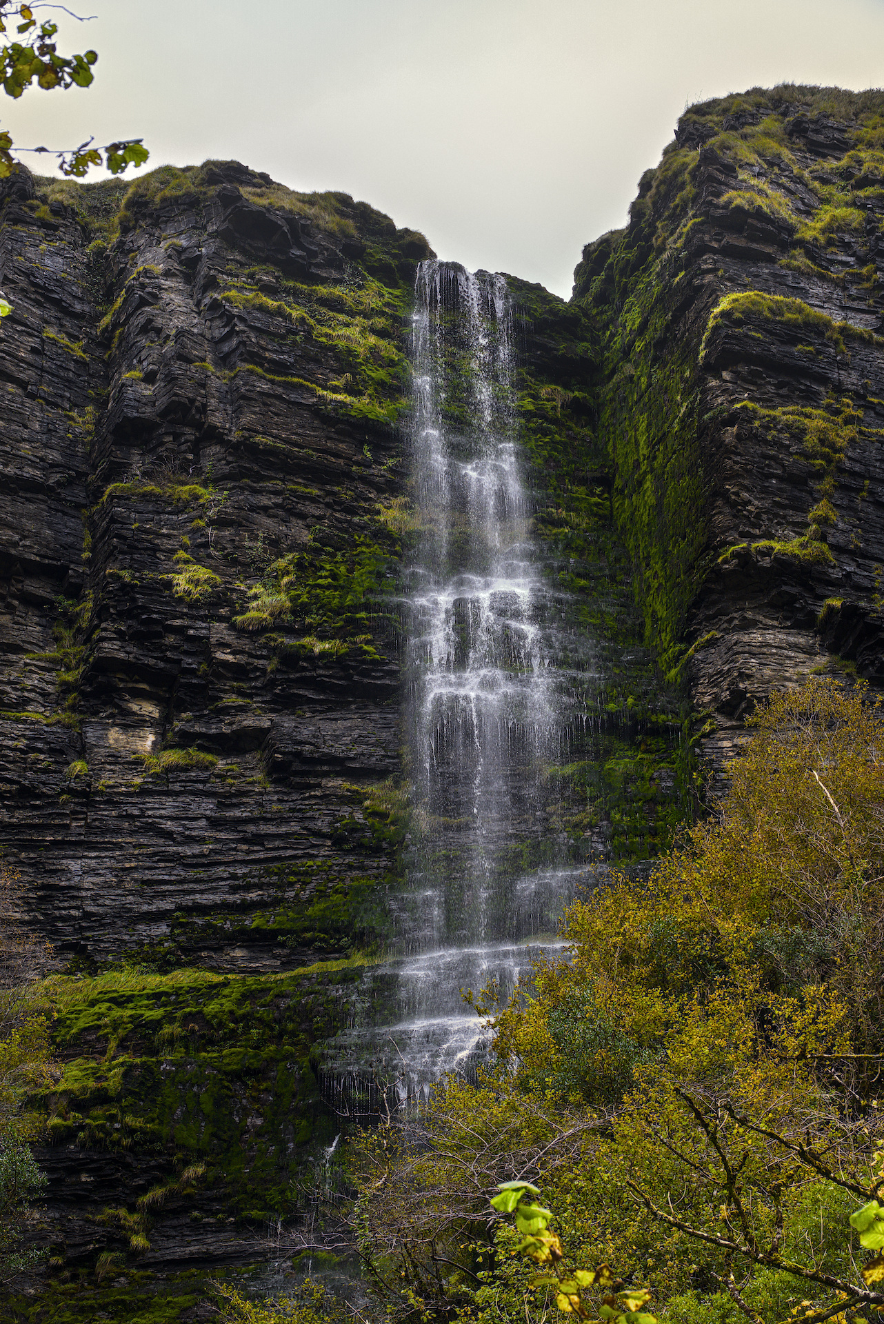 Hard to get the white balance and greens correct - Play Raw - discuss ...