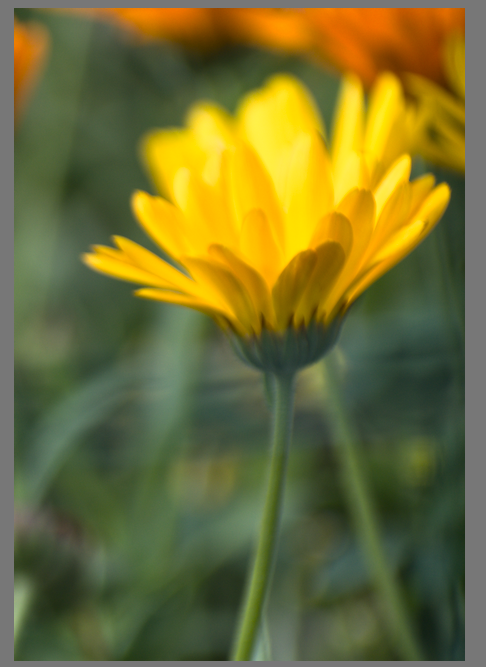 (Solved) Color problems at saturated highlights with Filmic ...