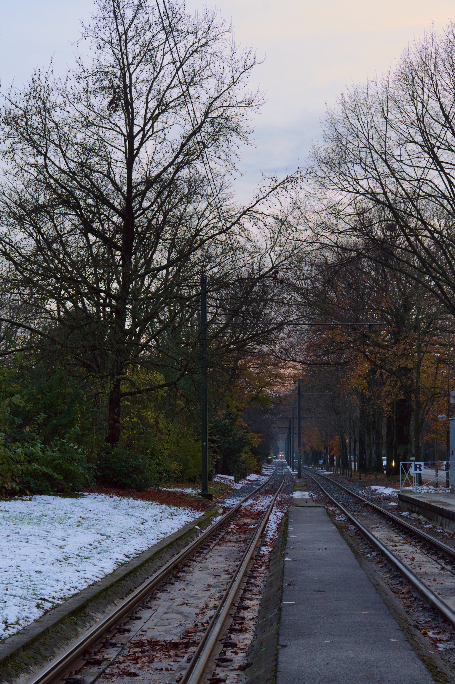 First post - First edits shared, feedback appreciated - Play Raw - discuss.pixls.us