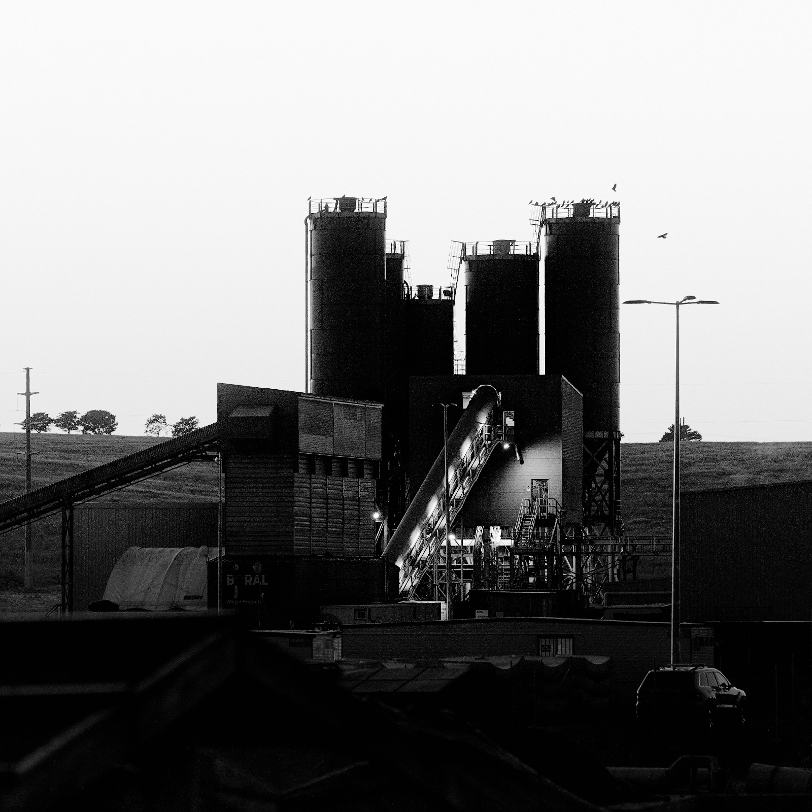 Celebrating my Pixls anniversary with a Play Raw! - Play Raw - discuss ...