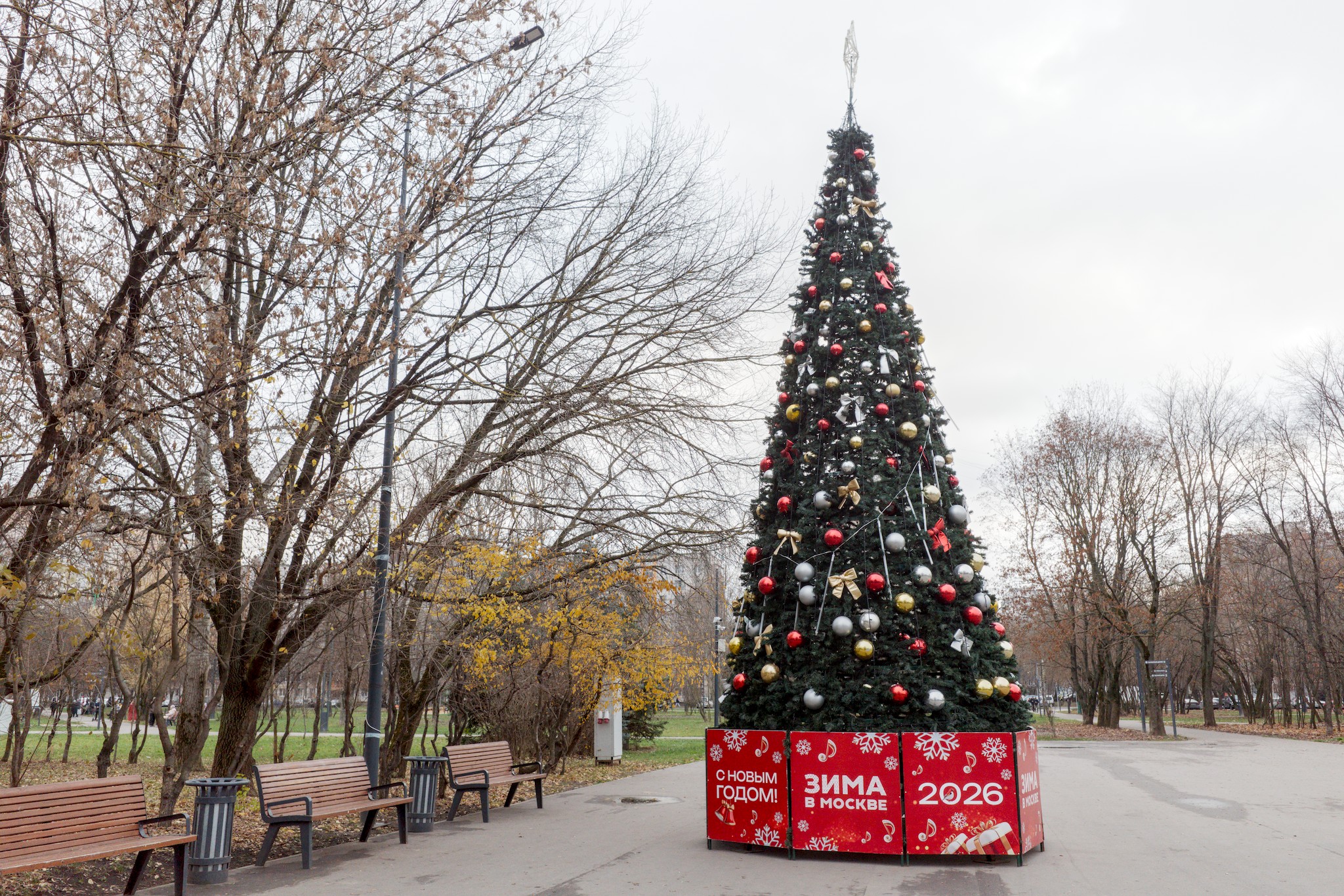 Preserve local contrast in the highlights after tone mapping - darktable - discuss.pixls.us