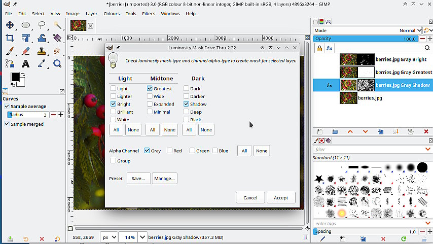 Selection Vs Masks in GIMP - GIMP - discuss.pixls.us
