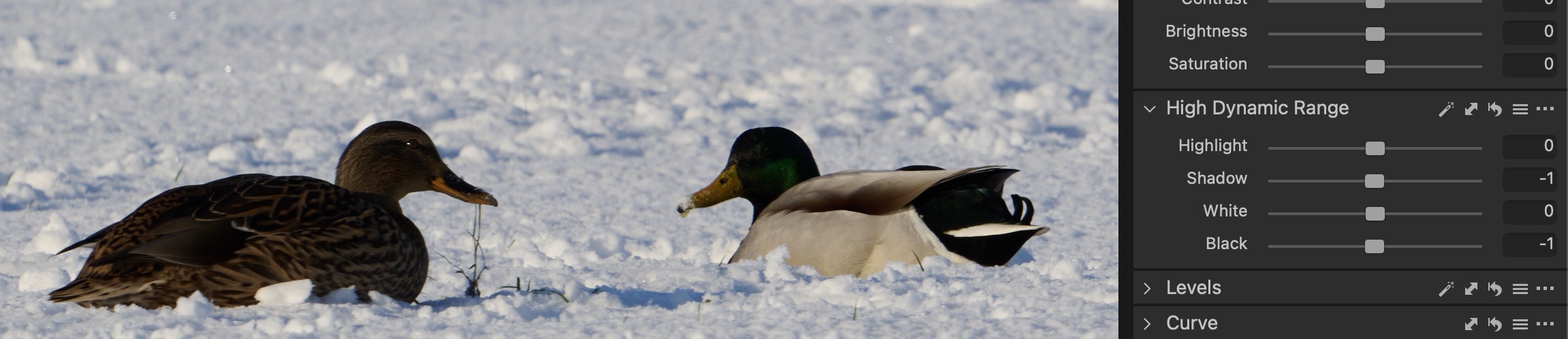 Tone Equalizer - How to raise shadows. - Processing - discuss.pixls.us