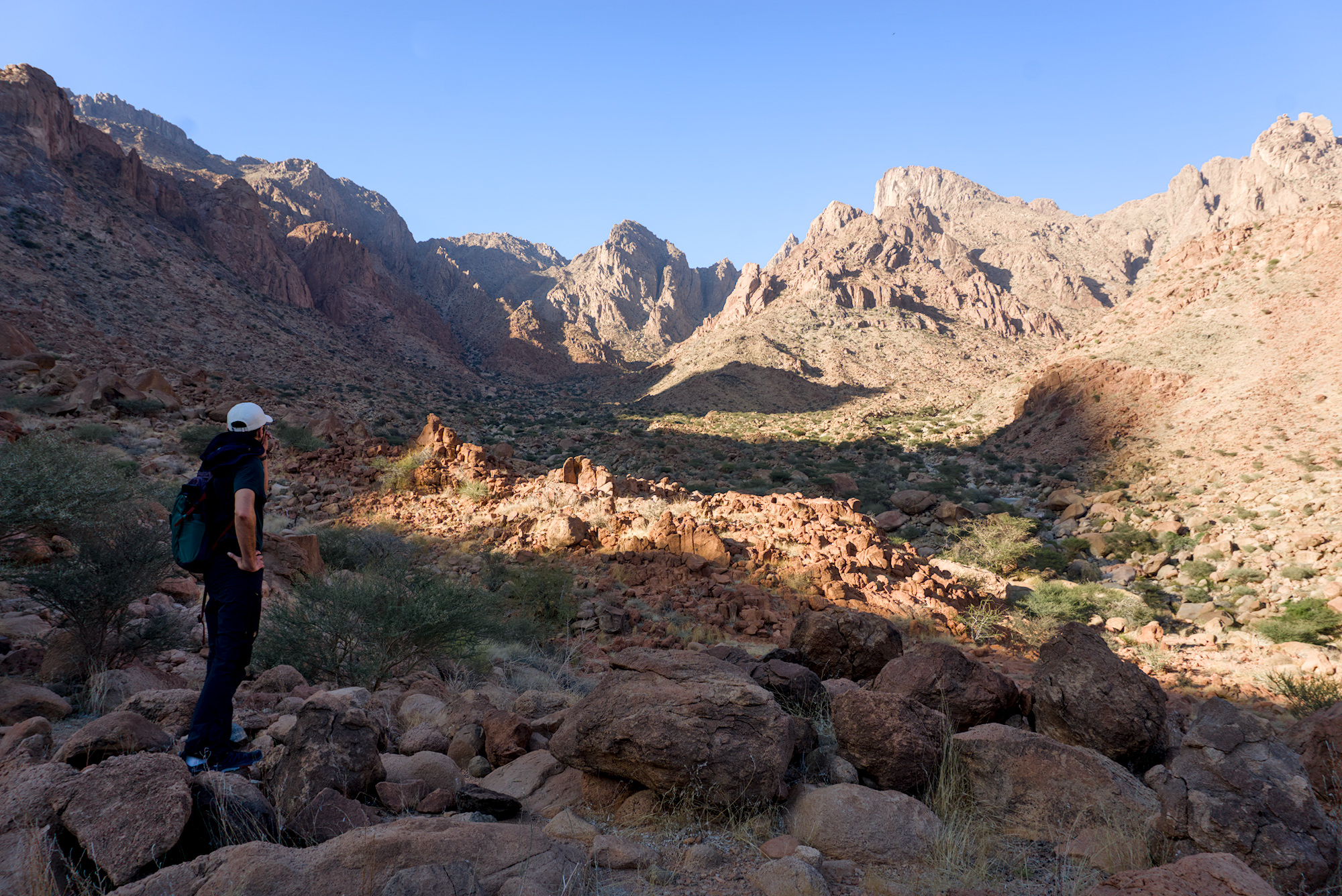 Post-processing RAW image: Trying to match my camera’s output (specific ...