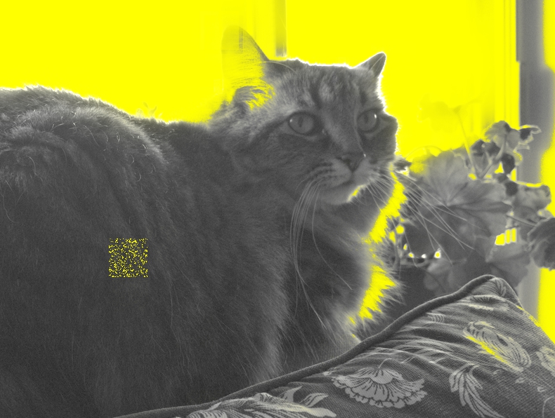 Artifacts in parametric masks - darktable - discuss.pixls.us