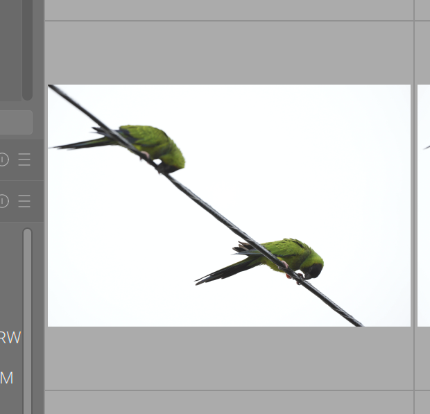 Big Difference Between Sony and Darktable Exposure for A7 iv ...