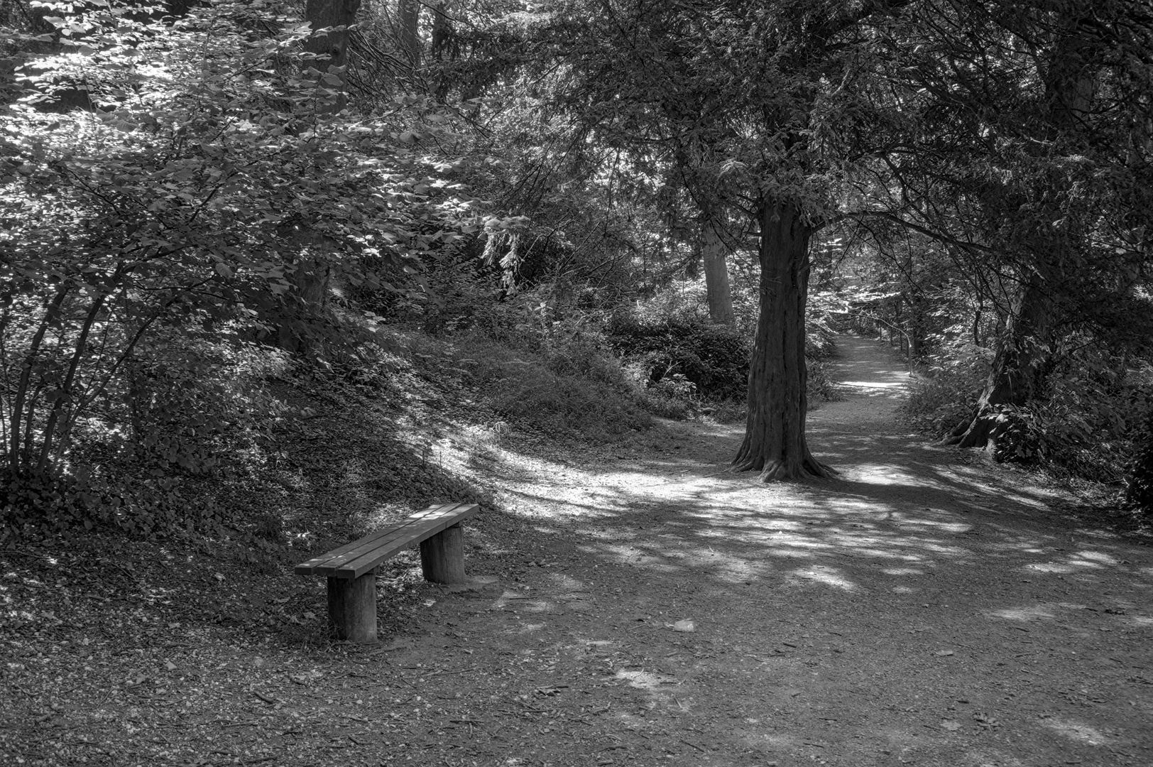 Dark output files - overcoming personal bias? - Page 2 - Processing - discuss.pixls.us