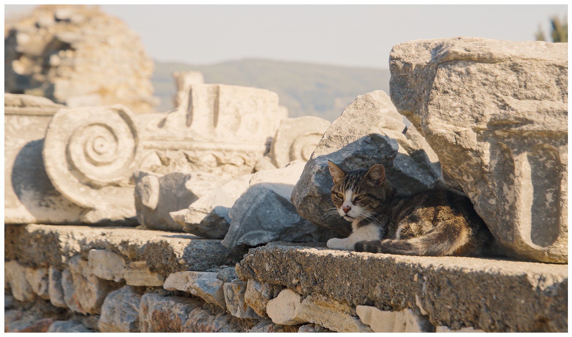 Ephesus - Türkiye - Play Raw - discuss.pixls.us