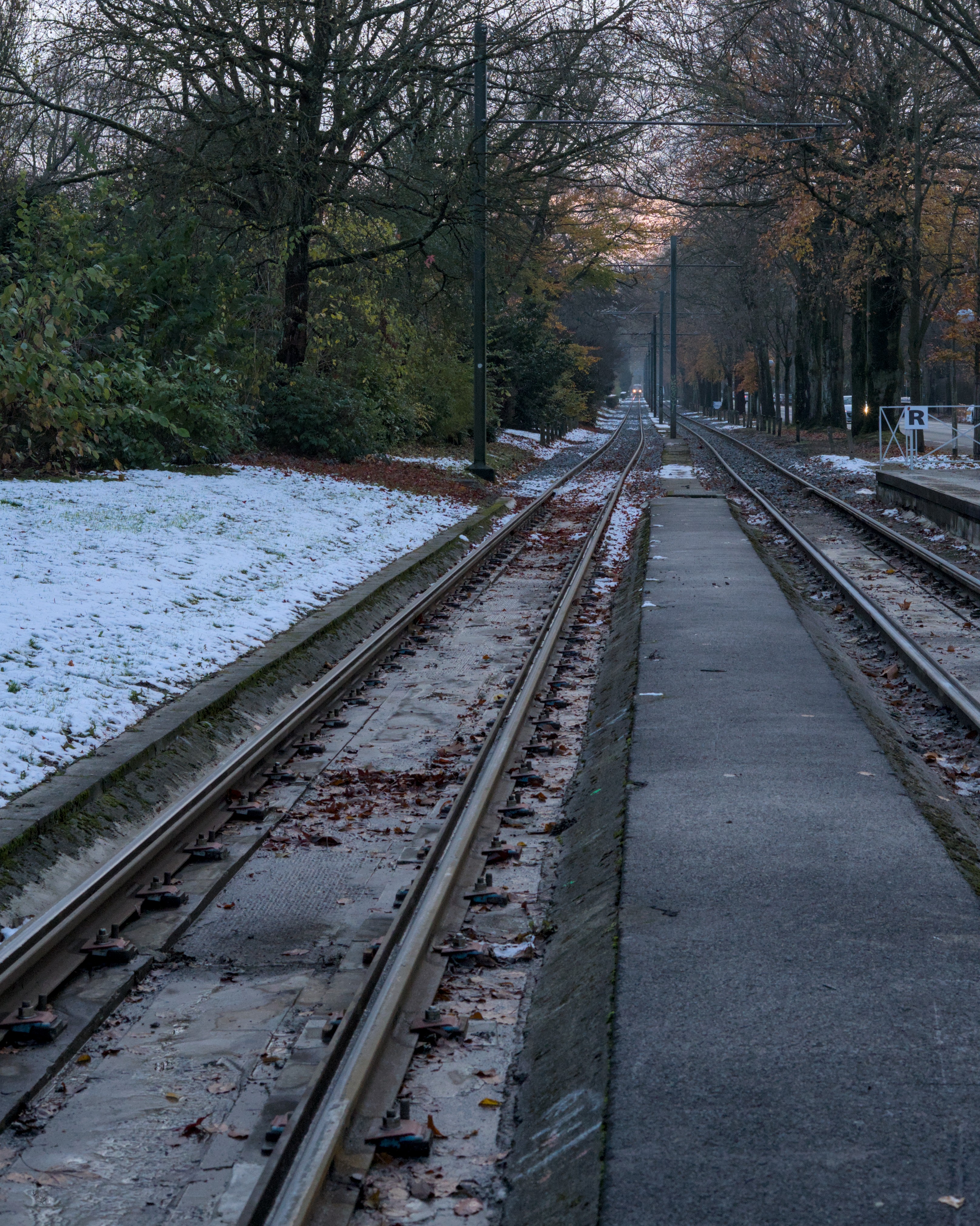 First post - First edits shared, feedback appreciated - Processing ...