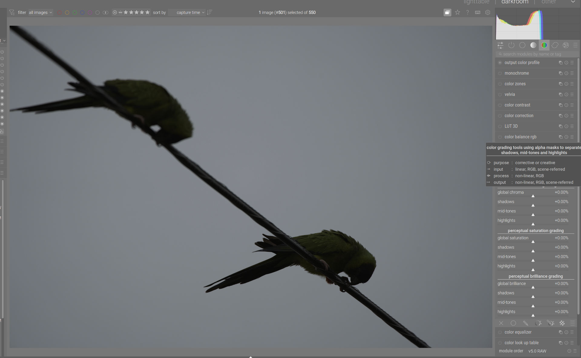 Big Difference Between Sony and Darktable Exposure for A7 iv ...